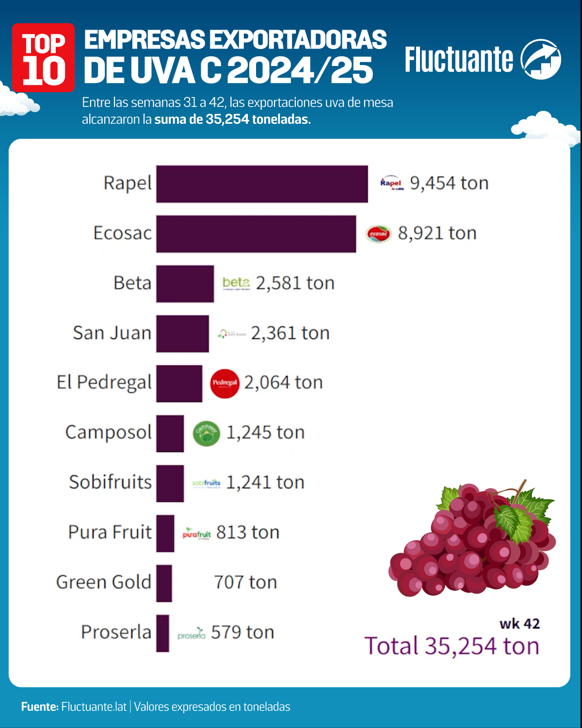 Top 10 Empresas en Exportación de uva | Fluctuante