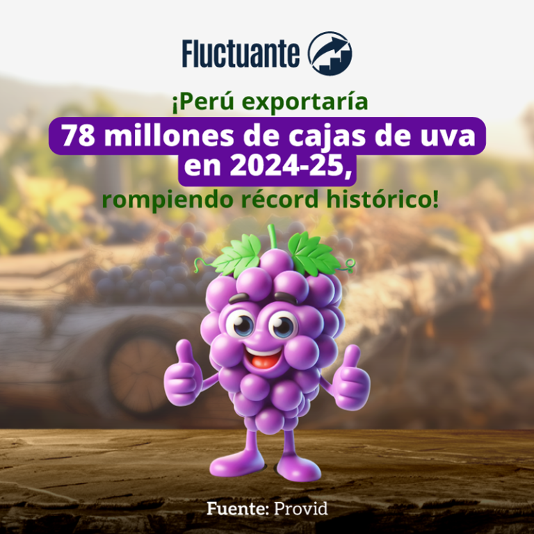 Exportación de Uva: Perú Proyecta 78.7 Millones de Cajas en la Campaña 2024/2025 | Fluctuante